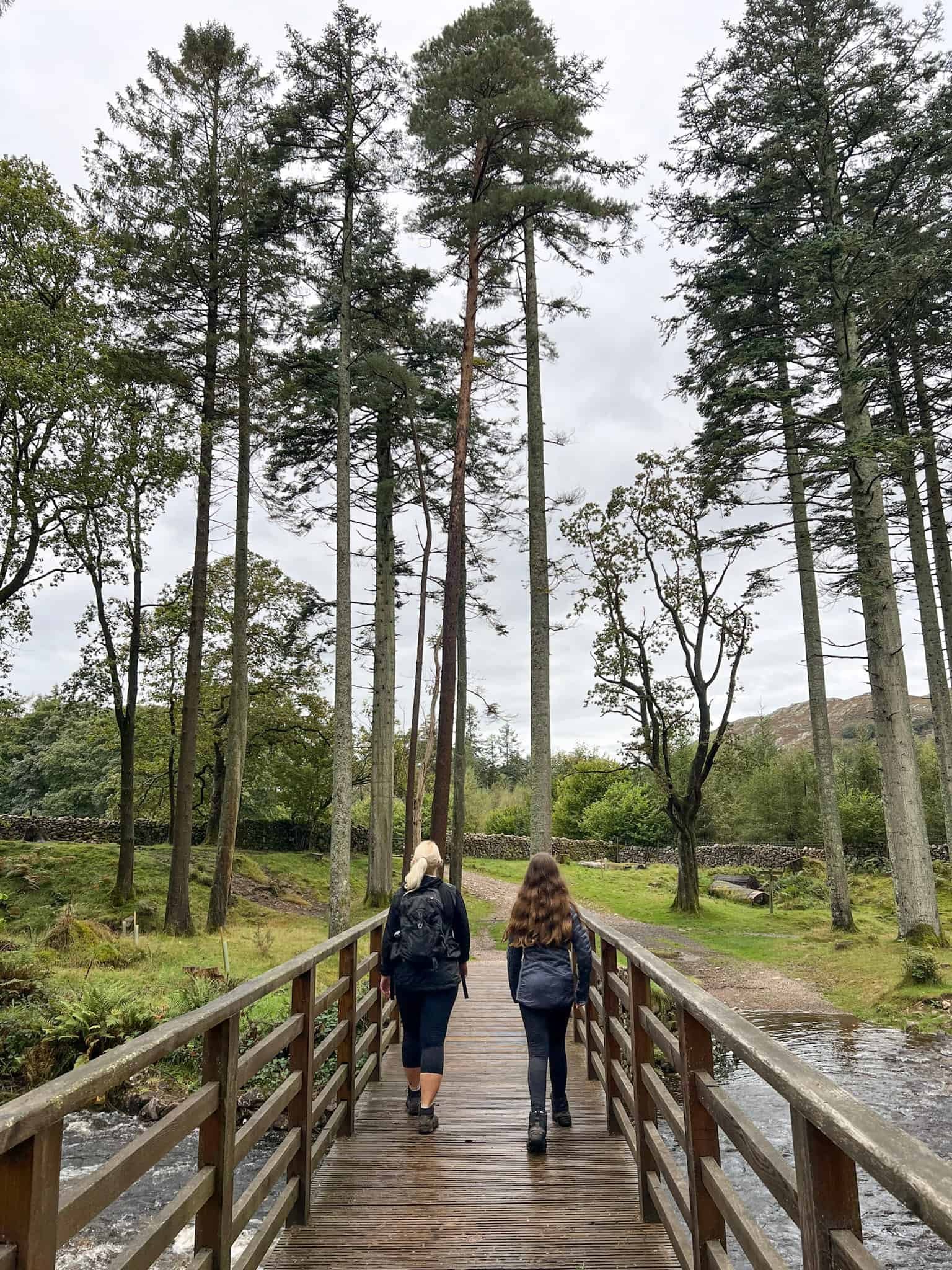 Gill Force and Stanley Ghyll Waterfall Loop | 3 Miles | The Wandering ...