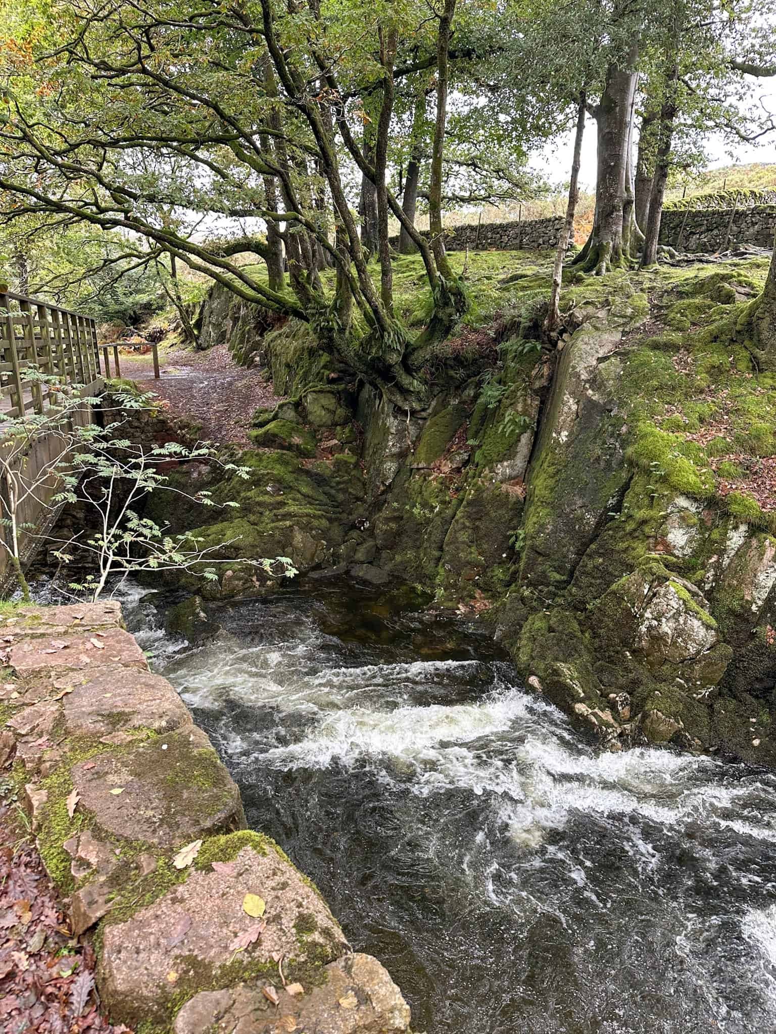 Gill Force and Stanley Ghyll Waterfall Loop | 3 Miles | The Wandering ...