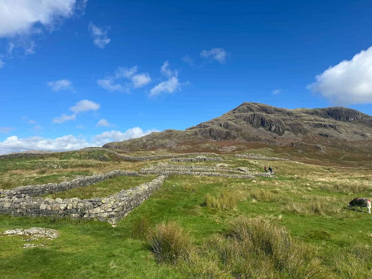 Harter Fell and Hard Knott | 6 Miles | The Wandering Wildflower