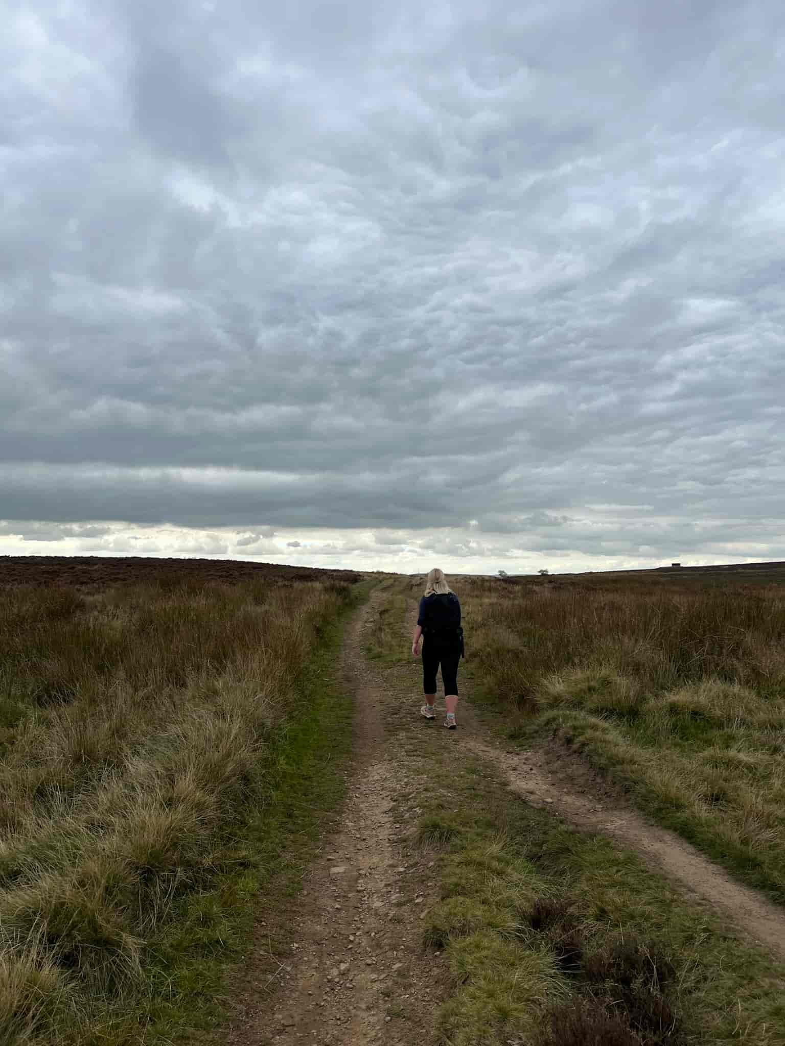 Steel Cotton Rail Trail: Dore & Totley to Grindleford | 6 Miles