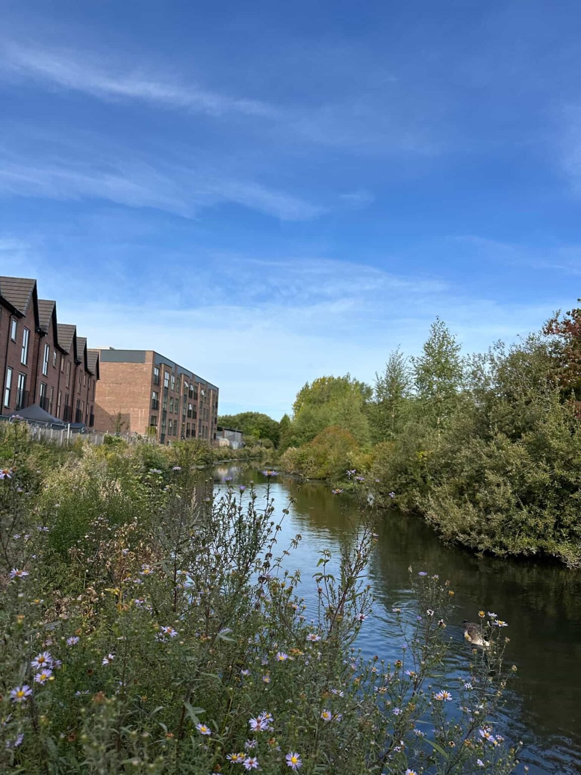 Steel Cotton Rail Trail: Guide Bridge to Manchester | 6 Miles
