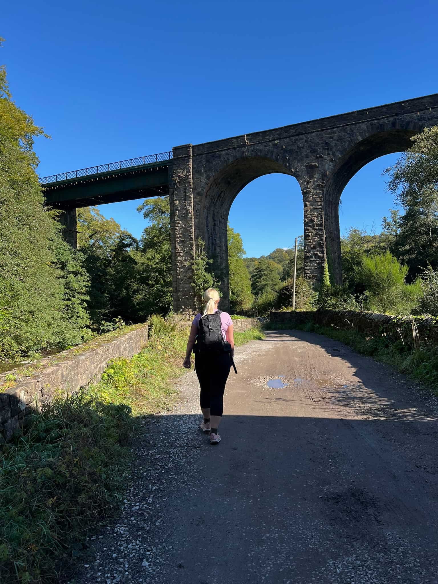 Steel Cotton Rail Trail: Guide Bridge to Manchester | 6 Miles