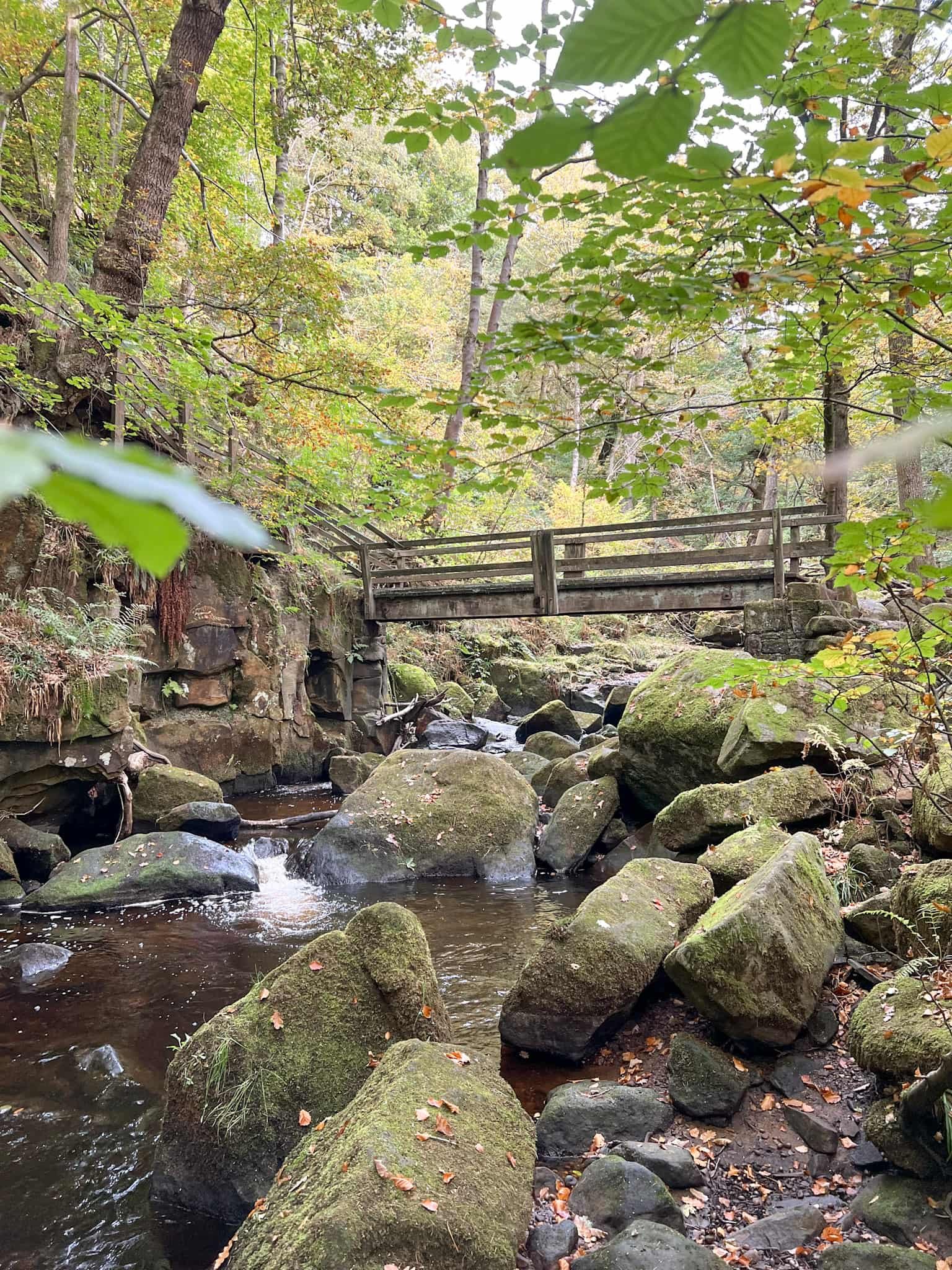 Padley Gorge Short Walk | 3.5 Miles | The Wandering Wildflower