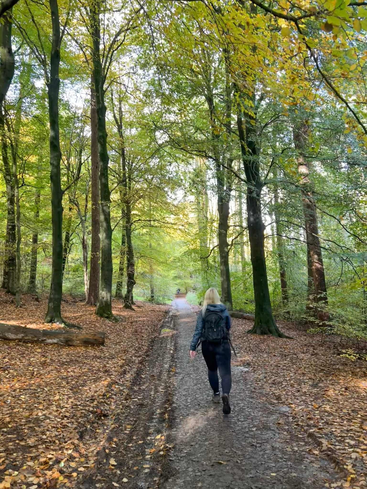 Lyme Park Circular Walk | 4.5 Miles | The Wandering Wildflower